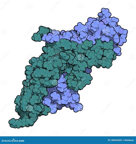 Human Chorionic Gonadotropin Hcg Glycoprotein Hormone Chemical