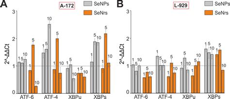 The Patterns Of Expression Of Genes Encoding Er Stress Proteins Which Download Scientific