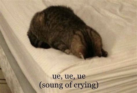 Nextjs 서버 액션 쓰면서 Form 초기화하기