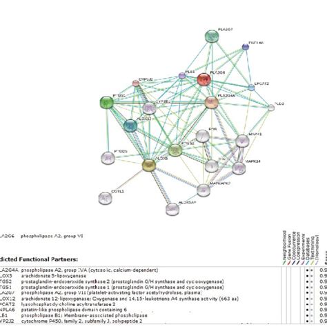 Crystal Structures Of Different Types Of Phospholipase A2 Download Scientific Diagram