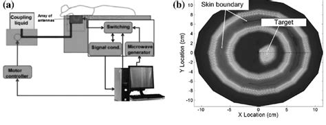 A Configuration Of The Breast Cancer Detection Uwb Radar System B