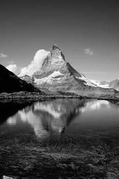 Powerline Adapters Vs Extenders Vs Mesh Wanneer Moet Je Welke Gebruiken