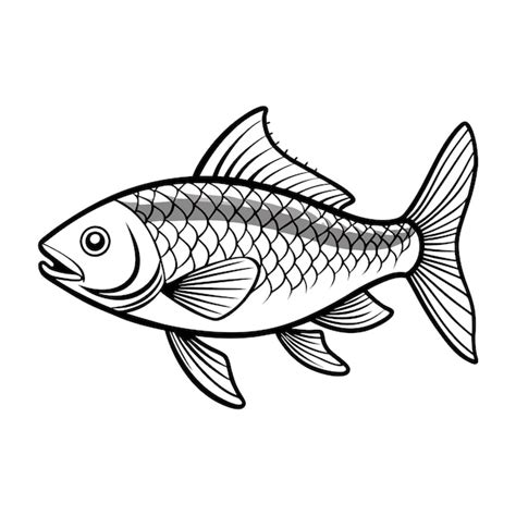 Ilish Fish Images Free Download On Freepik