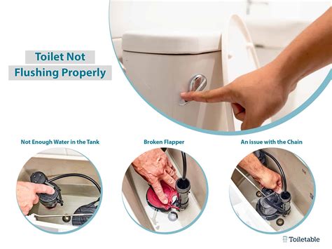 How Do You Fix A Toilet That Won T Flush Completely At Walter Cargill Blog