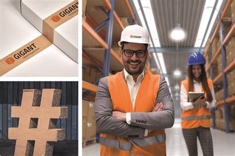 Gigant Verpackungstechnik Gmbh Packsynergy Ag