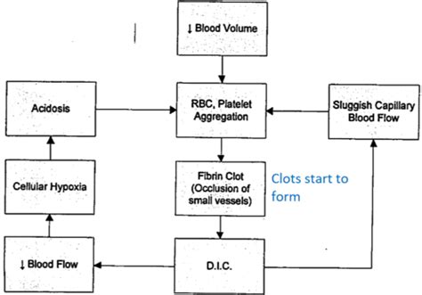 Refractory Shock Cycle Of Blood Clotting Chart Flashcards Quizlet