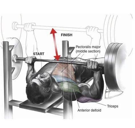 Упражнения на грудные мышцы Пикабу