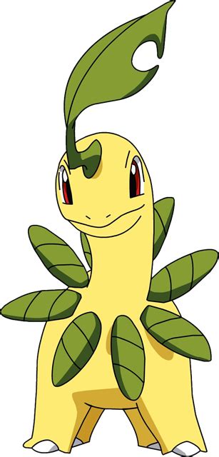 Bayleef By Pokemonsketchartist On Deviantart