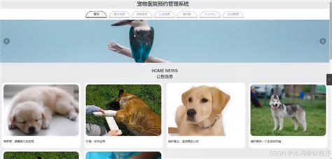 java计算机毕业设计宠物医院预约管理系统（开题 程序 论文） 社区宠物医院预约挂号系统的设计与实现参考文献解决的问题 csdn博客