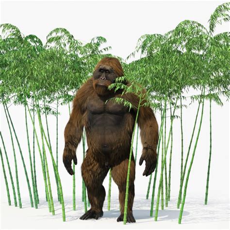 Modelo 3d El Gran Simio Gigantopithecus En El Bosque De Bambú