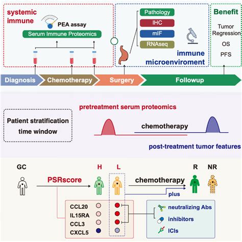【平台服务案例】中山医院团队cell Reports Medicine发表文章预测进展期胃癌术前化疗疗效的系统免疫学评价指标 Olink精准蛋白组服务提供商