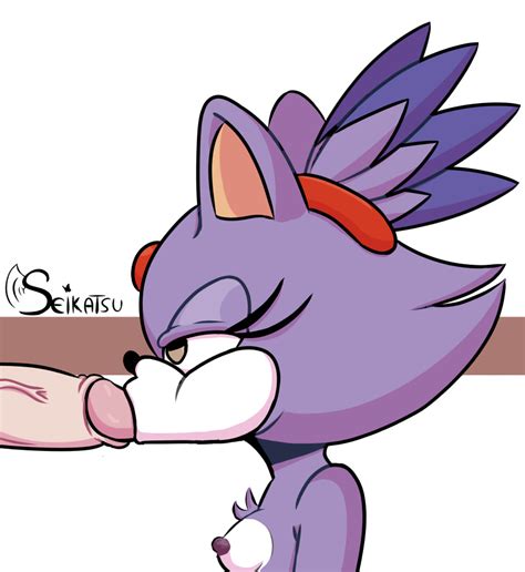 Rule 34 Artist Logo Artist Name Artist Signature Blaze The Cat