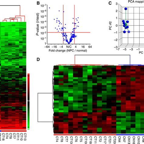 Microrna Mirna Expression Patterns Distinguish Normal From Npc Download Scientific Diagram
