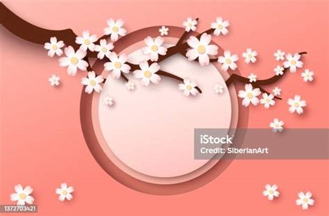 종이 컷 벚꽃과 원 프레임 봄 배경 꽃 포스터 배너 템플릿 벡터 일러스트레이션 0명에 대한 스톡 벡터 아트 및 기타 이미지 0명 3차원 형태 개화기 Istock