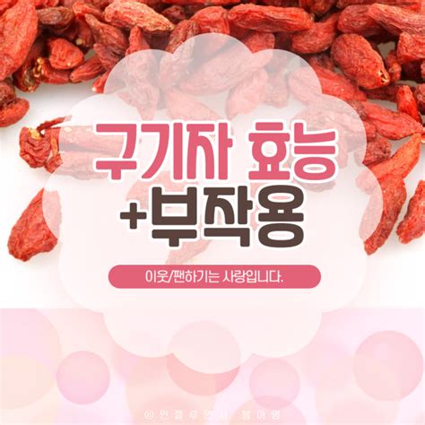 구기자의효능 구기자분말 고지베리 구기자차 부작용 체크 네이버 블로그