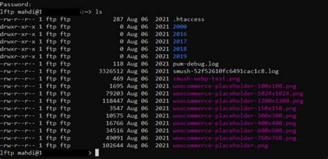 The Best And Complete Lftp Command Tutorial Dade2