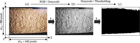 The Steps Of The Filtering Process A Rgb Image Captured By Camera Download Scientific Diagram
