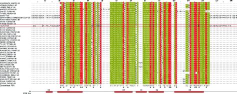 Multiple Sequence Alignment Of ARID In ARID BAF250 C Architecture