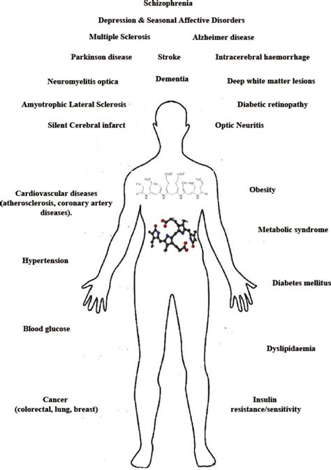 Bilirubin And Inflammation In Neurodegenerative And Other Neurological Diseases