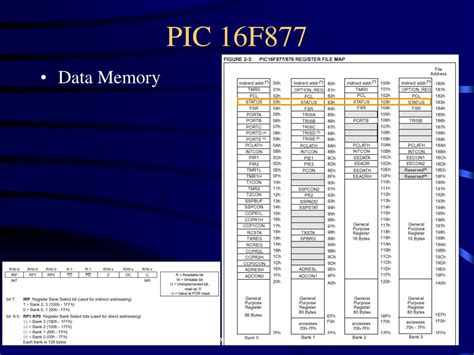 PPT PIC Microcontrollers PowerPoint Presentation Free Download ID 5007949