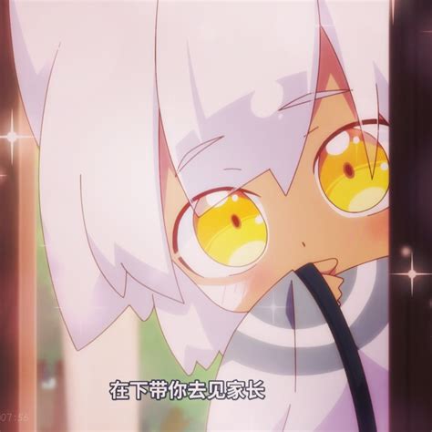 《猫之茗》龙井 堆糖，美图壁纸兴趣社区