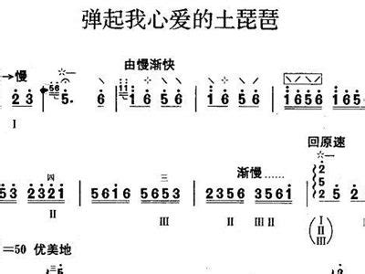 柳琴考级曲目六级 弹起我心爱的土琵琶 琵琶谱 简谱