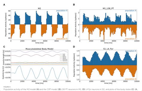 Figure 6 From Embodied Bidirectional Simulation Of A Spiking Cortico Basal Ganglia Cerebellar
