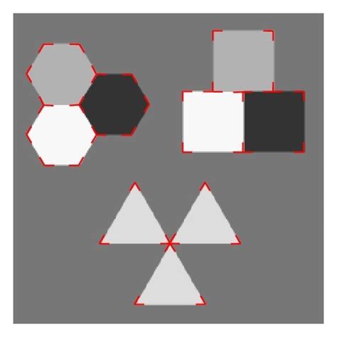 the results of junction points and junction branches detection for two