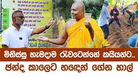 මිනිස්සු හැමදාම රැවටෙන්නේ කයියන්ට ඡන්ද කාලෙට හඳෙන් ගේන හාල් Umandawa Youtube