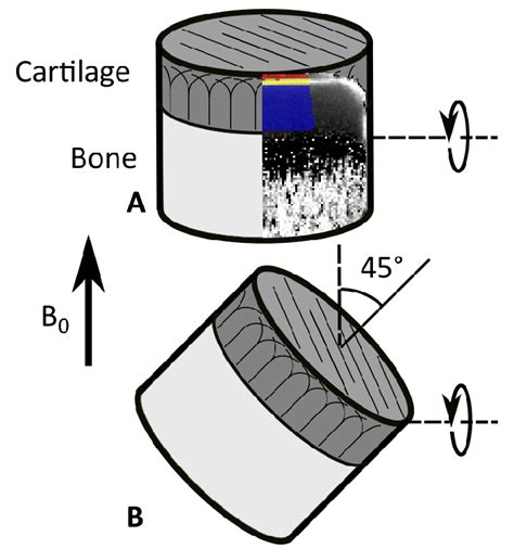 Schematic Illustration Of Sample Rotation In Straight A And Tilted Download Scientific