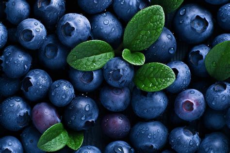 Blueberry Fragrance Oil New And Improved Wellington Fragrance