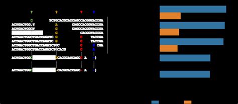 data efficient snv calling a multiple reads from the same molecule