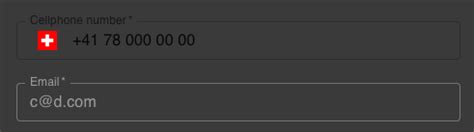 Issue With Dark Theme Issue Viclafouch Mui Tel Input Github