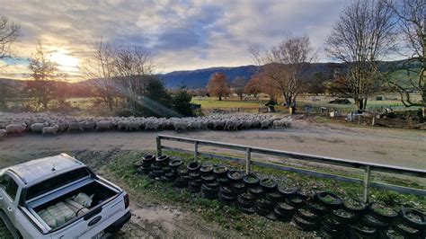 Kct Creative Rendering Rendering Can Sometimes Be Described As Hard And Coldbut Not Anymore