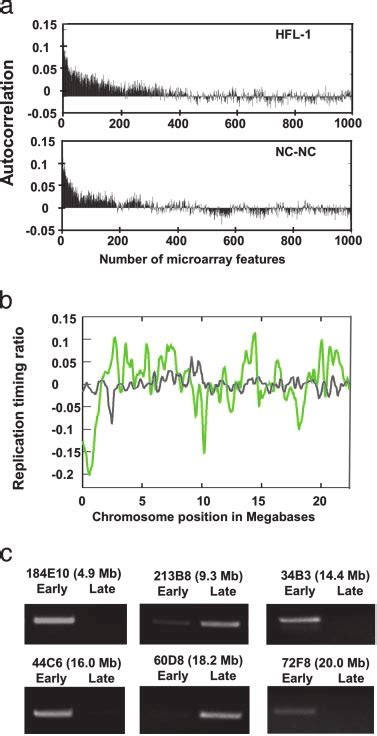 Control Experiments A Autocorrelation Analysis To Measure The