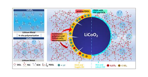 In Situ Polymerized 1 3 Dioxolane Solid State Electrolyte With Space Confined Plasticizers For