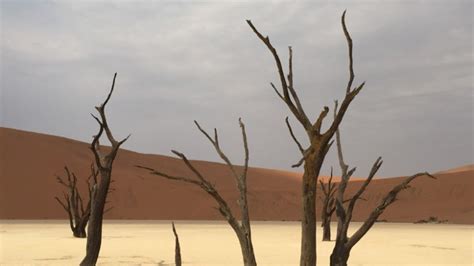 A Problem With Clay Soil Caroline Benedict Smith