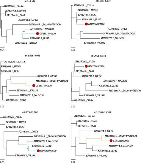 Recombination And Phylogenetic Analysis Based On Different Regions Of Download Scientific