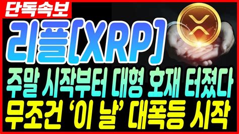 리플분석 리플 10배 상승 온다 대형 기관들 강력 매집 중 Youtube