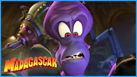 Dreamworks Madagascar What Is Wrong With You Penguins Of
