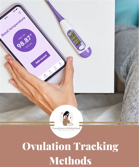 The Best Way To Track Ovulation For Fertility ToM