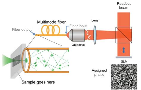 Endoscopy Total Internal Reflection At Sarah Sepe Blog