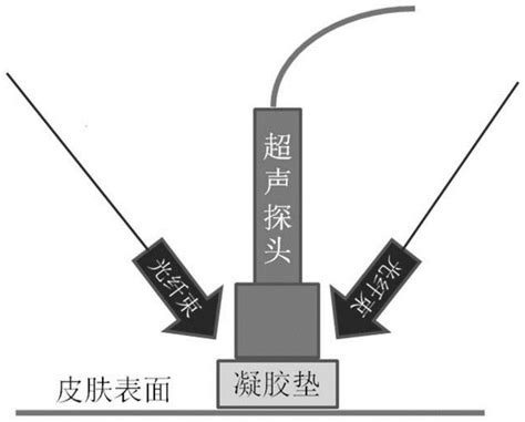 光声成像系统及方法存储介质及处理器与流程 2
