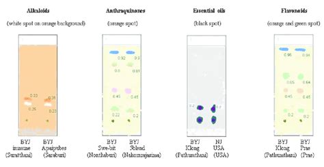 The Tlc Chromatograms Show The Characteristic Of Organic Substances Of