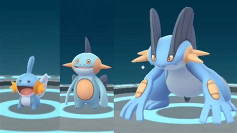 Pokemon Go Mudkip To Marshtomp To Swampert Evolution Showcase Pokédex 258 259 And 260 Youtube