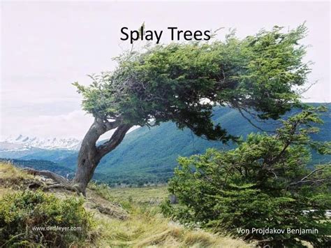 Ppt Splay Trees Powerpoint Presentation Free Download Id2316749