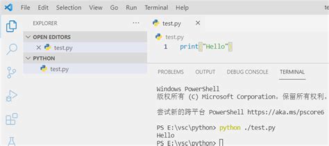 vscode配置 amostian