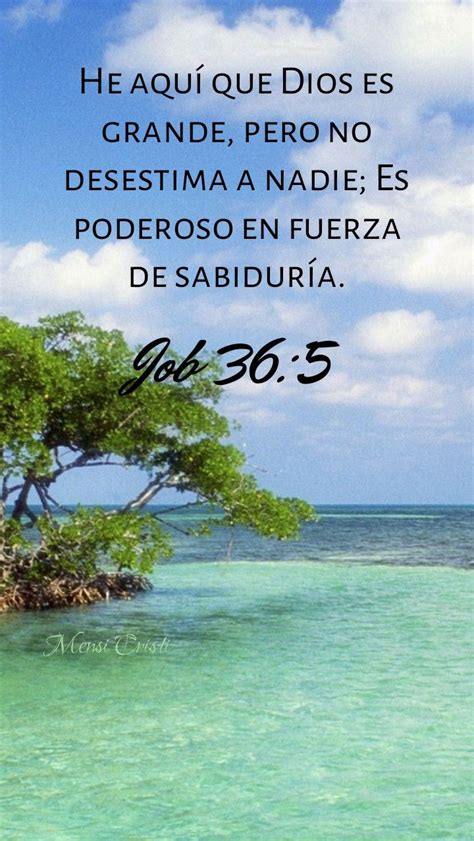 Mensi Cristi💙🕊️ Job 365