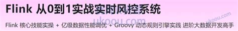 Flink 从0到1实战实时风控系统「已完结」 优库it资源网