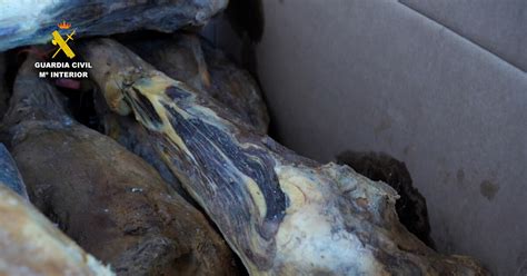 Intervienen Casi Una Tonelada De Jamones En Sevilla Por No Cumplir Las